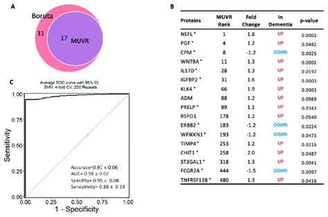 Machine Learning Model To Discriminate Dementia From Controls A