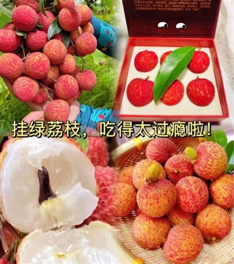 增城挂绿荔枝： 艺术品不谈钱，只谈缘一万八千缘 Sams Fresh Daily