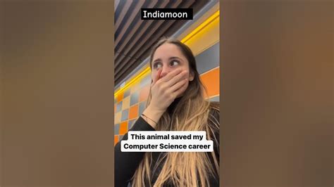 How To Design Unique Website 2024 Memes Codememes Viral Shortsvideo