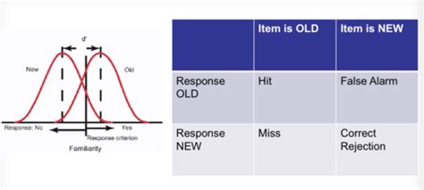 Memory And Eeg Flashcards Quizlet
