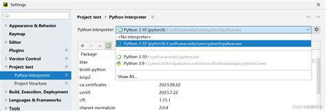 Import Torch报错解决 Csdn博客