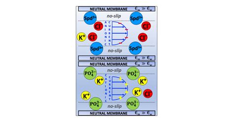 Nanofluidic Charge Transport Under Strong Electrostatic Coupling Conditions The Journal Of