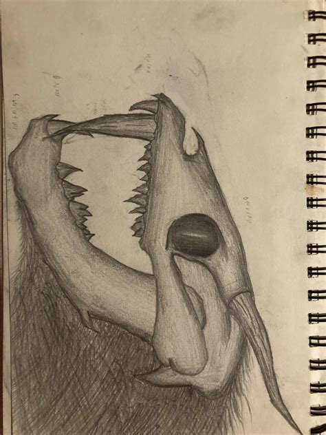 Skull Pest Close Up By Me Scrolller