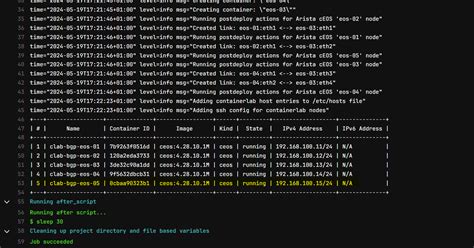 A Simple Network CI CD Pipeline With Containerlab And Nornir