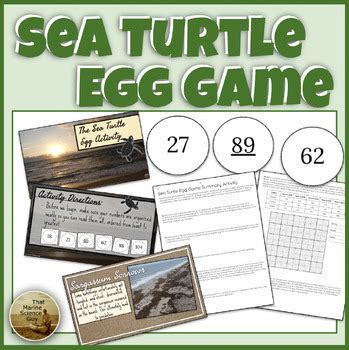 Classroom Or Summer Camp Marine Science Activity Sea Turtle Egg Game
