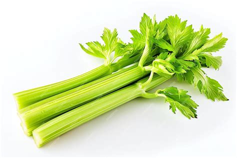 Premium Photo Celery Isolated On White Background Fresh Celery On