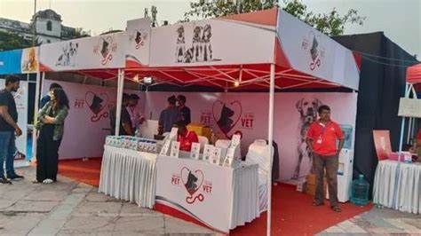 Solvent Printing At ₹ 10sheet In Mumbai Id 2854287333962