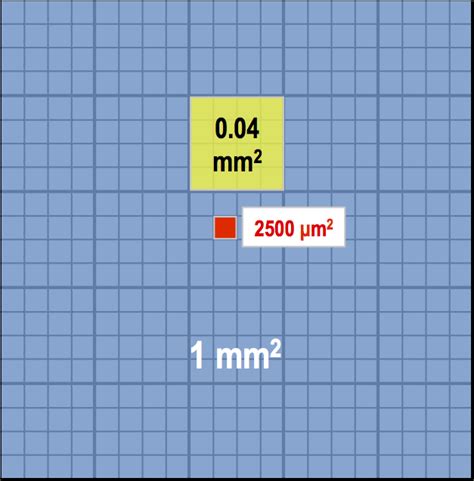 Hemocytometer Square Size • Hemocytometer