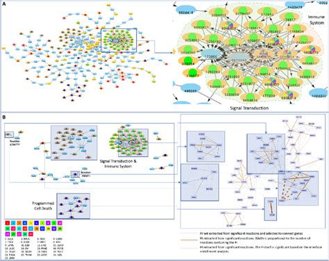 a a reactome reaction sub network constructed based on significant