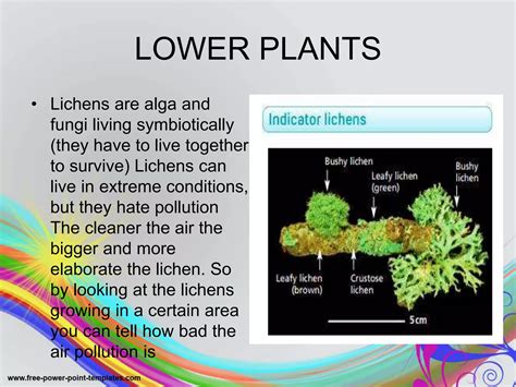 Bioindicators Ppt Pptx