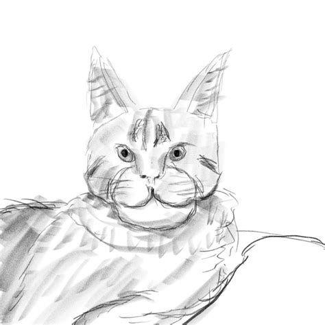 Ron Perlman Cat Album On Imgur