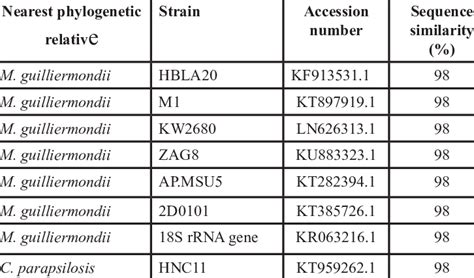 Identification Of Yeast Isolate Based On Sequence Alignment Blast