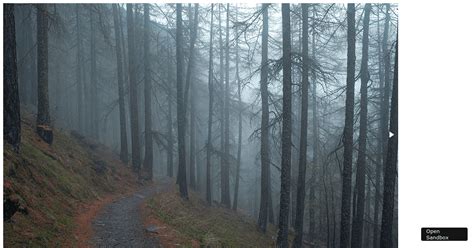 Intelligent Ardinghelli 56izb Codesandbox