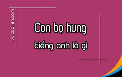 Con B Hung Ti Ng Anh L G V C Nh Th N O Cho Ng