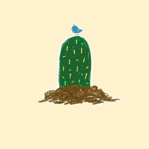 선인장 식물 나무 일러스트 드로잉 Cactus 그래픽디자인 Plants Illust Illustration Illustgram Graphic