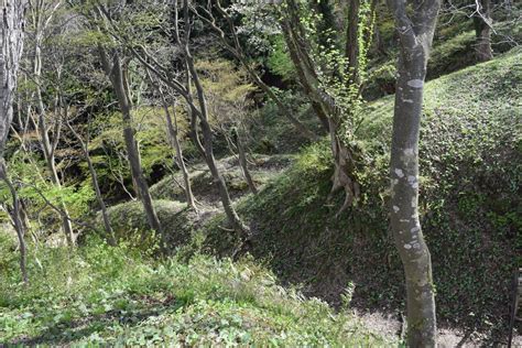 越後妙高鳥坂城 on Twitter 8日にキャンプ場からの誘導案内板設置 本丸の標柱の囲い外し終了 残りの看板20枚は11日に設置予定