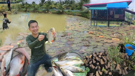 เกษตรผสมผสานในพื้นที่ 2 ไร่ สร้างแหล่งอาหารให้ครอบครัว มีอยู่มีกินมีรายได้ สุดยอดวัยรุ่นทำเกษตร