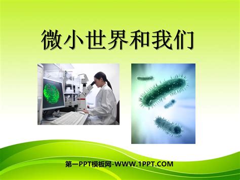 Ppt