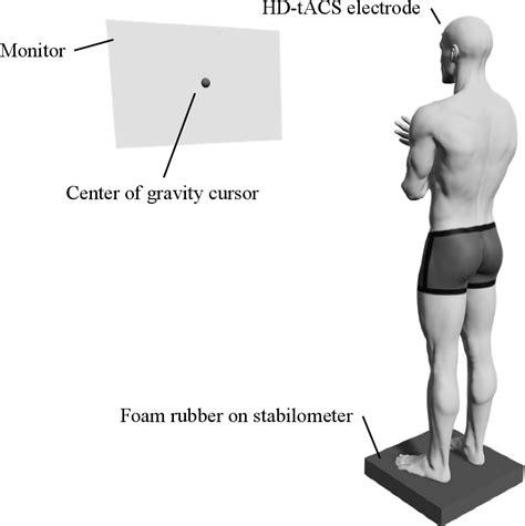 Figure 2 From Effects Of θ High Definition Transcranial Alternating