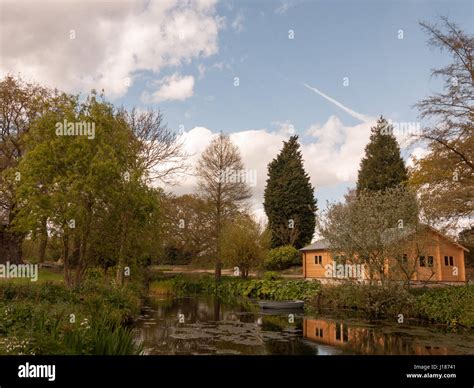 A Beautiful Garden With Trees And Plants And Lake In The Spring In The
