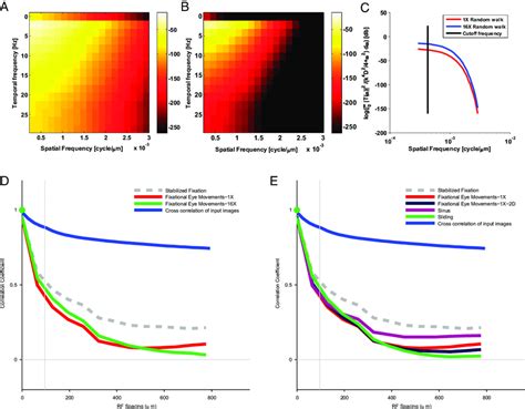 The Spatial Correlation Pattern With Different Motion Parameters A Download Scientific