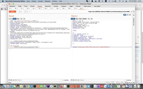 ctfshow WEB入门 命令执行 web web 知乎