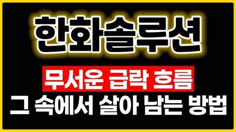 한화솔루션 🚨비상상황 필수시청🚨 실적 부진에 따른 주가 급락 흐름 이 위기에서 살아 남을 수 있는 대응법과 향후 주가 전망은 한화솔루션 한화솔루션주가전망 신재생