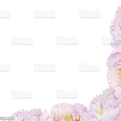 손으로 그린 섬세한 분홍색 모란 꽃 새싹 및 잎이 있는 수채화 사각형 프레임 배열 흰색 배경에 격리 초대장 결혼식 사랑 또는 인사말 카드 종이 인쇄 섬유 개체 그룹에 대한