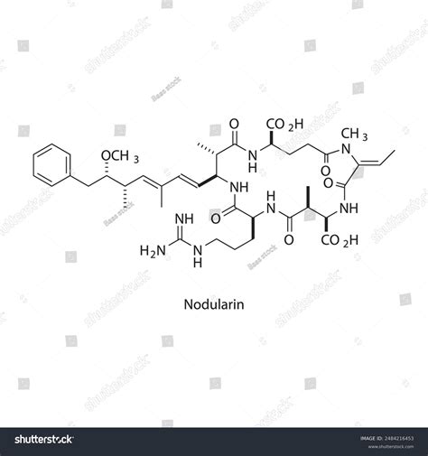 Nodularin Skeletal Structure Diagram Compound Molecule Stock Vector