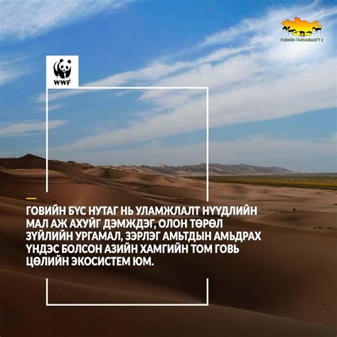 Wwf Mongolia Бид говь нутгаараа аялах байгалийн сайхныг Facebook