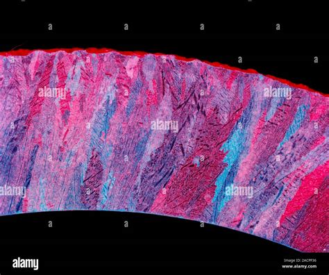 Etched Columnar Grain Structure Spun Cast Tube Section Etched To