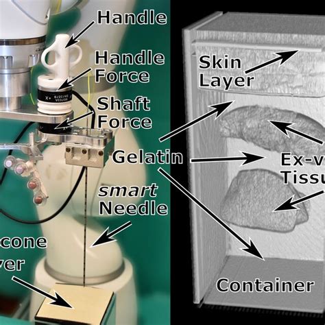 Smart Needle Calibration Example Plot Of The Needle Tip Force Download Scientific Diagram
