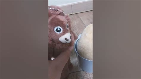 문이안열려 알고리즘 병맛 알고리즘떠라 웃김주의 웃김 인형계 출처 김초코 Youtube