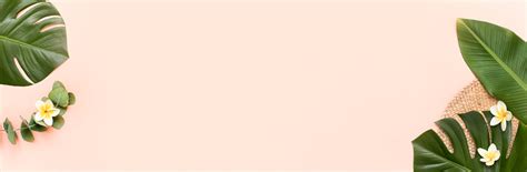 열 대 야자수 잎과 모자 통하고 있는 분홍색 배경 텍스트 사진에서 장소가 비어 있습니다 개념에 대한 스톡 사진 및 기타 이미지 Istock