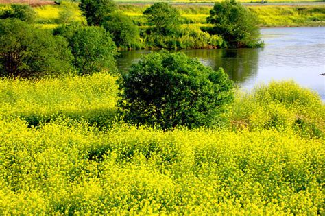 진정한 자신감을 얻기 위해서는~~~