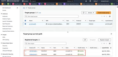 使用 Gateway Load Balancer 和 Palo Alto 防火墙实现集中的网络流量深度检测丨use Gateway Load Balancer And Palo Alto