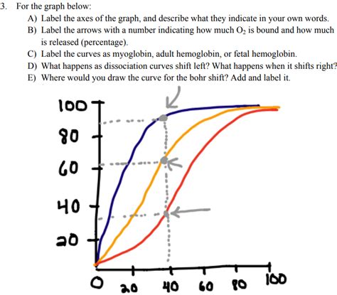 Solved For The Graph Below A Label The Axes Of The Chegg Com
