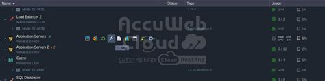Configure Custom Environment Variables Accuweb Cloud