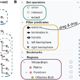 Query Builder A Set Operators Filter Predicates And Biological Download Scientific Diagram