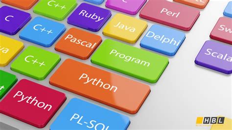 A Guide To Web Application Languages Choosing The Right One And Top 11 Languages To Know Hblab