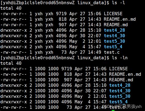 Linux常用指令汇总 Csdn博客