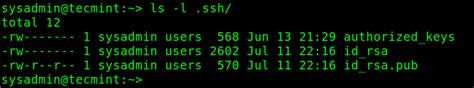 How To Set Correct SSH Directory Permissions In Linux