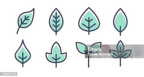 리프 벡터 디자인 라인 아이콘입니다 그린 라인 잎 식물 개요 기호 자연 아이비에 대한 스톡 벡터 아트 및 기타 이미지 아이비 아이콘 0명 Istock