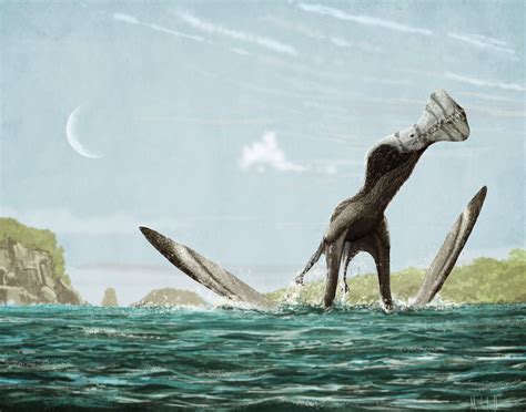 Tetrapod Flight March 2015