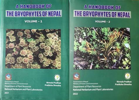 झ्याउ अनुसन्धानले दिएको पहिचान