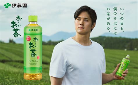 Amazon 伊藤園 おーいお茶 カテキン緑茶スティック 粉末 0 8g×15本 [機能性表示食品] おーいお茶 抹茶 通販