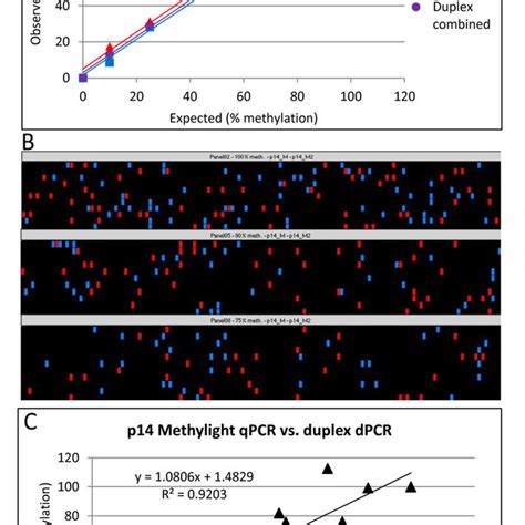 Methylight Duplex Dpcr A Duplex P14 Dpcr Assay Showing Data For