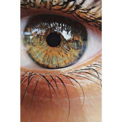 پروفایل اسپرت عکس پروفایل دخترونه اسپرت خاص و زیبا 1397