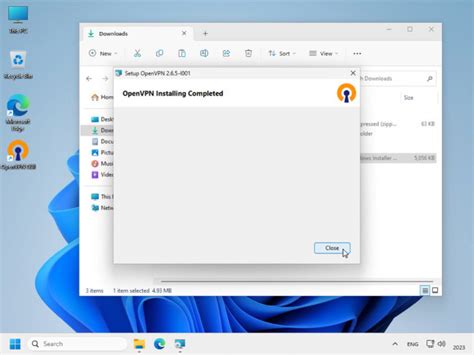 OpenVPN GUI On Windows VPN Instructions VPNLUX