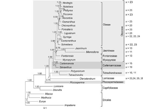 The 50 Majority Rule Consensus Tree Resulting From Bayesian Analyses